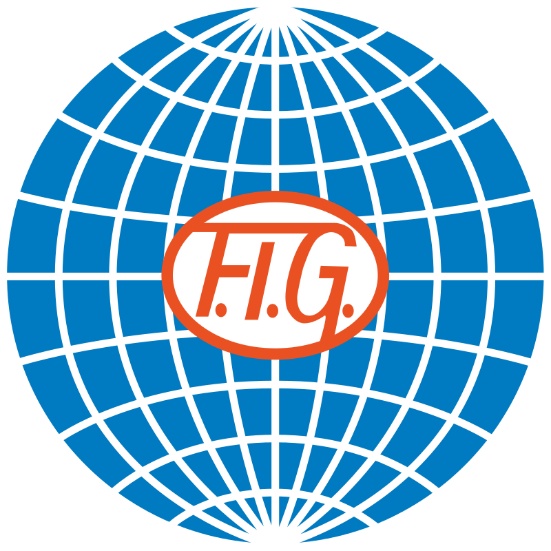 Camelia Voinea – An Old School Gymnastics Blog